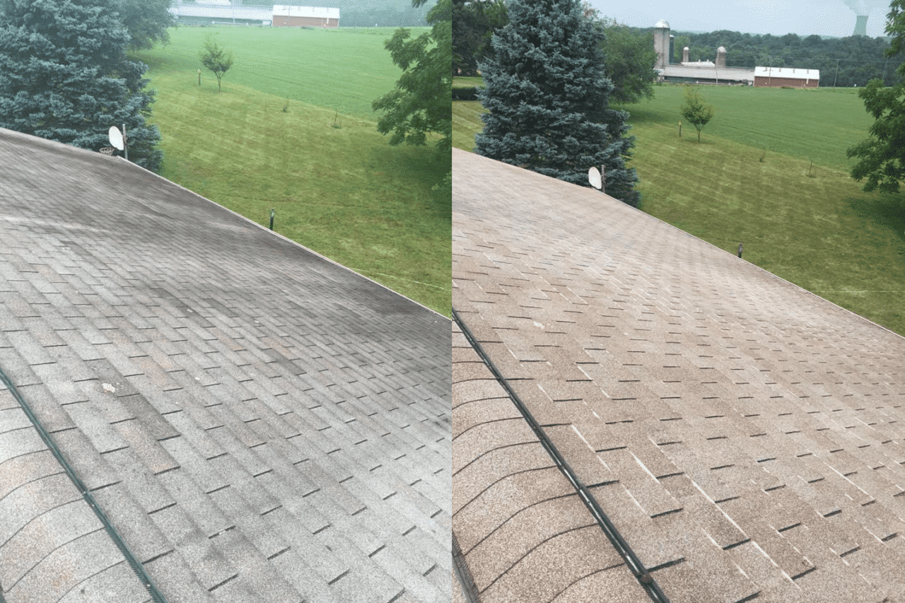 Roof Cleaning (Soft Washing) Services in Collegeville, PA